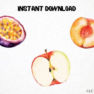Watercolor Fruit Slices Clipart, 30 Png, Sweet Fruits Cut in Half ...