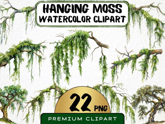 Spanish Moss Clip Art