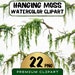 Watercolor Hanging Moss Clipart, Spanish Moss Graphics (22 PNG, Digital ...