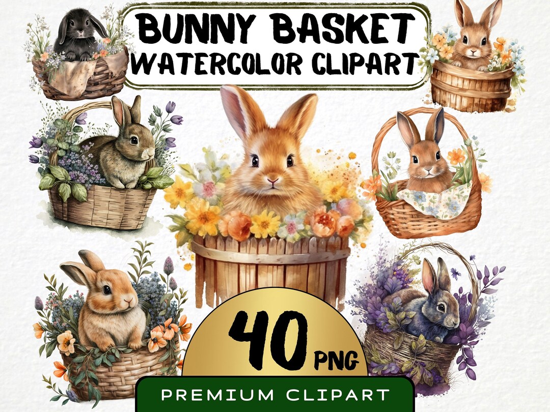 Bunny in Basket Clipart 40 Png, Watercolor Rabbit in Bucket, Digital ...