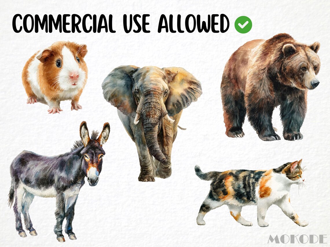 Watercolor Mammals Clipart 105 Png, Zoo Animals, Educational Africa ...