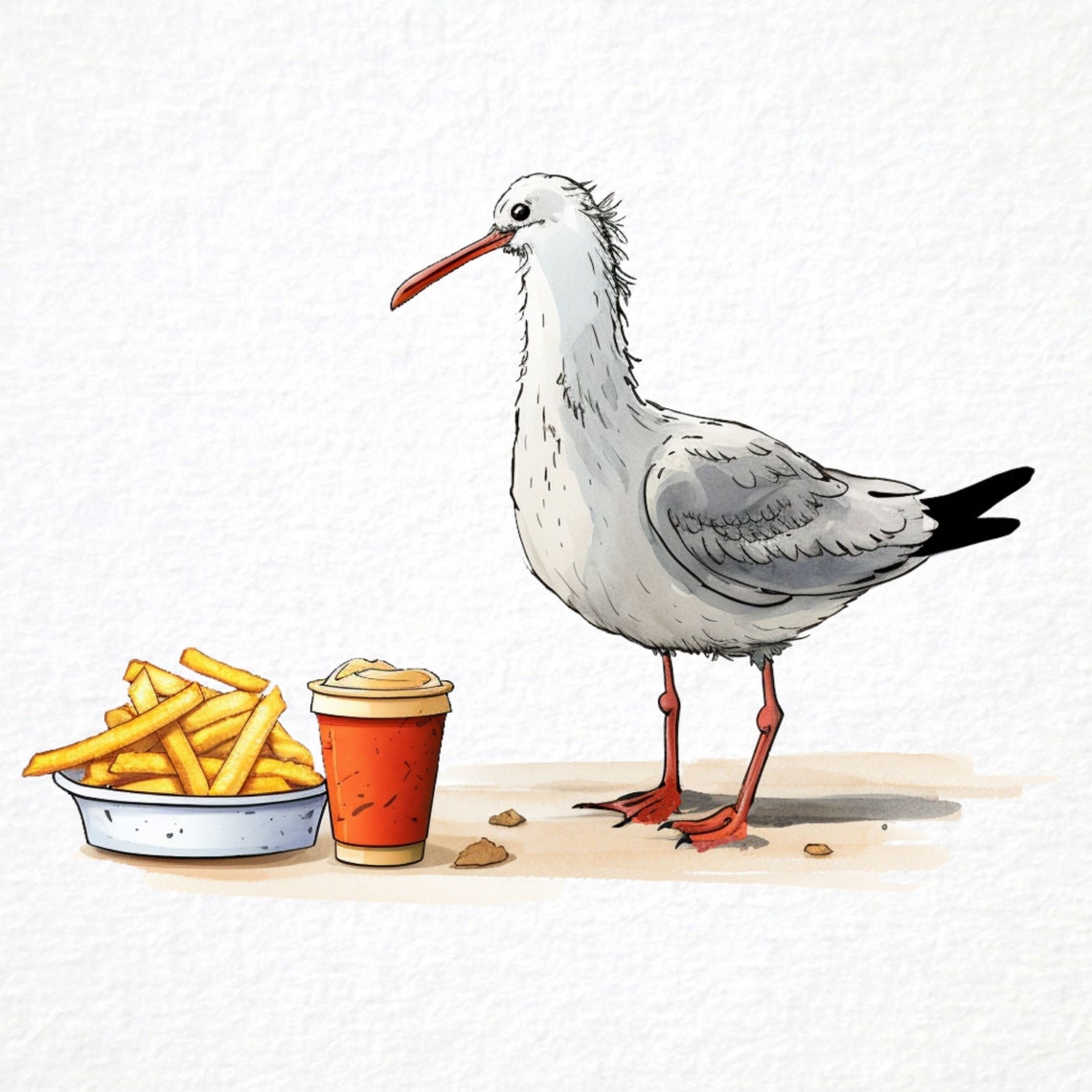 Funny Seagull Watercolor Clipart, Goofy Birds, Silly Gulls (digital ...