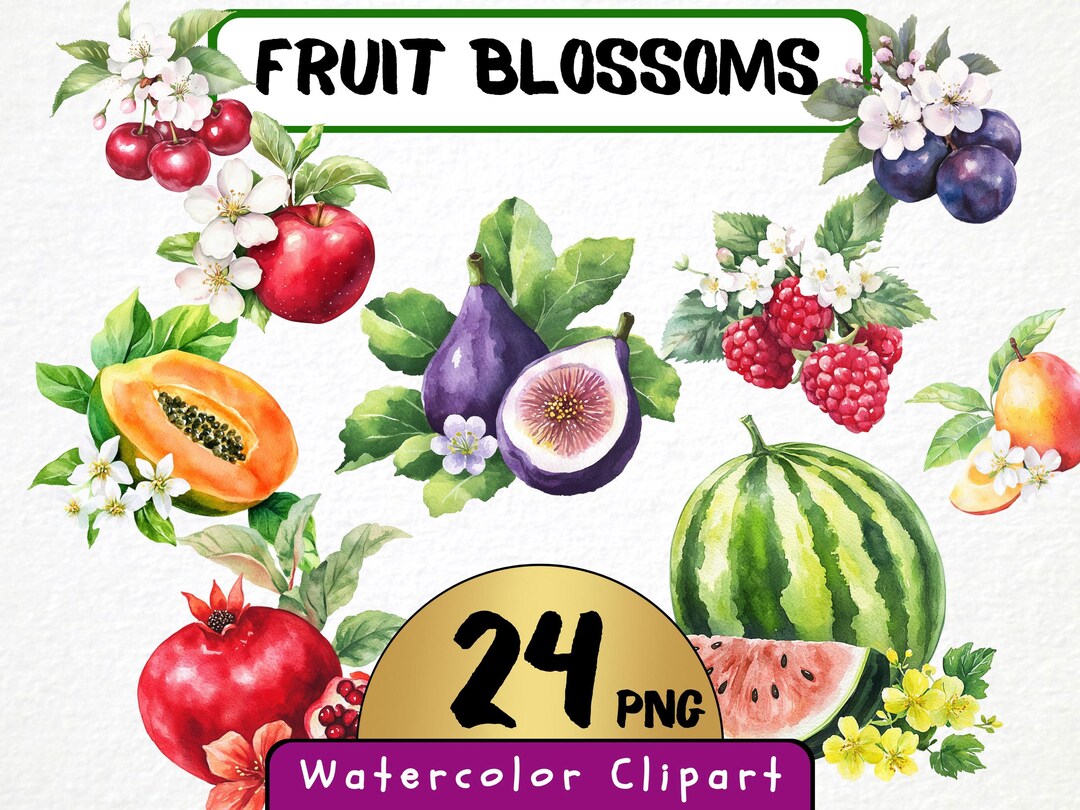 Watercolor Fruit Blossoms Clipart, 42 PNG, Card Making (digital ...
