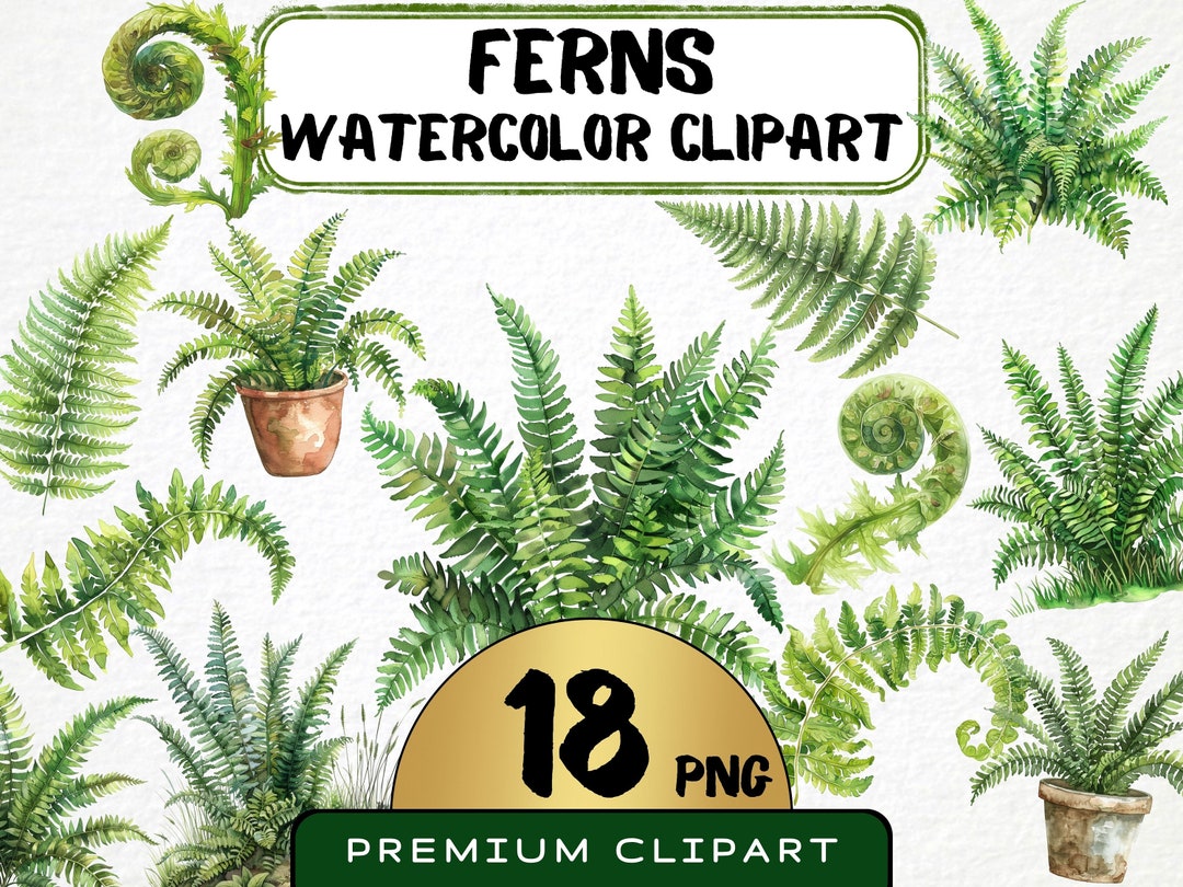 Watercolor Ferns Clipart 18 Png, Forest Fern Plants Graphics, Fern Leaf ...