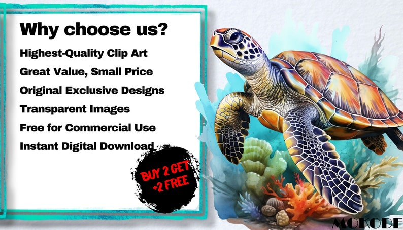 Watercolor Sea Turtle Clipart Set of 35 Watercolor Nautical - Etsy