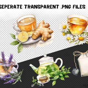 Herbal Tea Clipart, 32 Png, Green Tea Watercolor, Cozy Tea Time, Mint ...