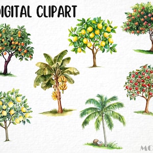 Watercolor Fruit Trees Clipart, Summer Garden PNG (digital Download) - Etsy