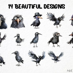 Funny Crows Clipart 14 Png, Cute Caricature Birds, Silly Raven ...