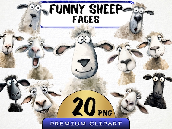 Funny Sheep Face