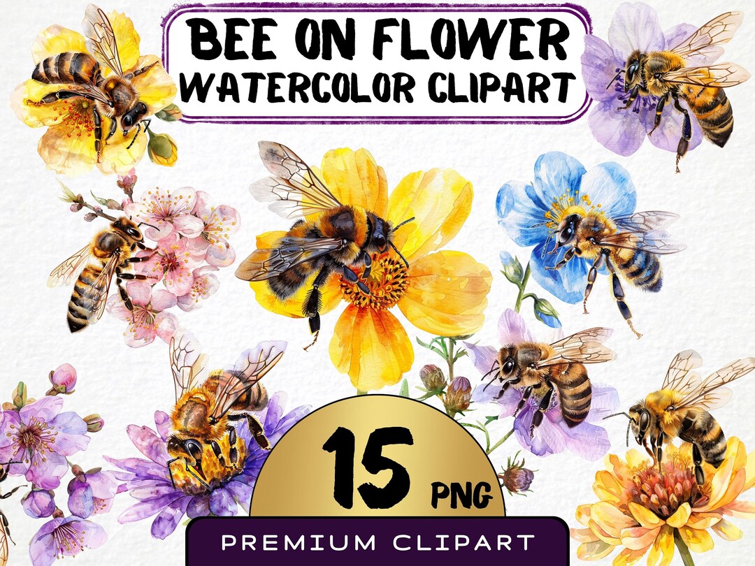 Watercolor Bee on Flower Clipart 15 Png, Honey Bee Summer Illustration ...