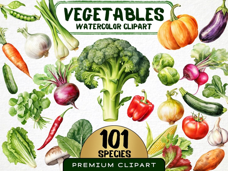 Vegetables Clipart, Set of 101, Watercolor Greens Clip Art, Veggies Png ...
