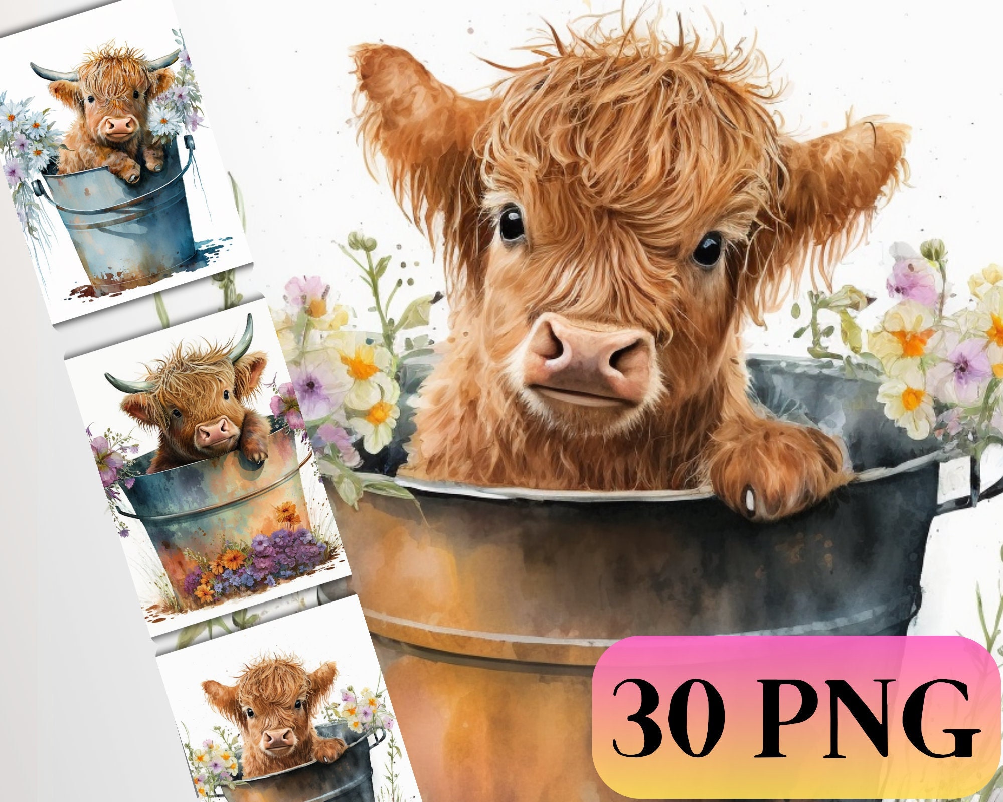Highland Cow in Bucket Clip Art PNG Watercolor Clipart Cow Cute Baby ...