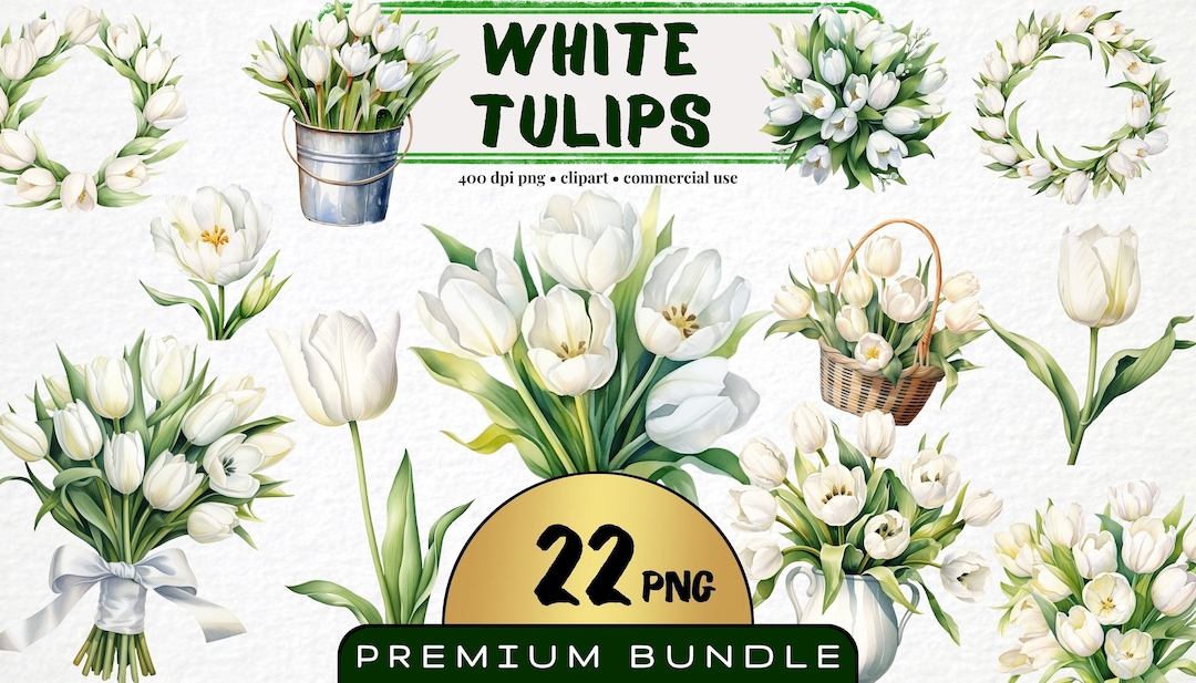 White Tulip Clipart, Set of 22, Watercolor Tulip Png, Botanical Art ...