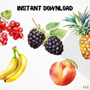 Watercolor Fruits Clipart, Summer Fruit Graphics (digital Download) - Etsy