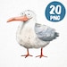 Funny Seagull Watercolor Clipart, Goofy Birds, Silly Gulls (digital ...