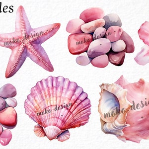 Watercolor Pink Seashells Clip Art Ocean Life Starfish Beach Summer ...