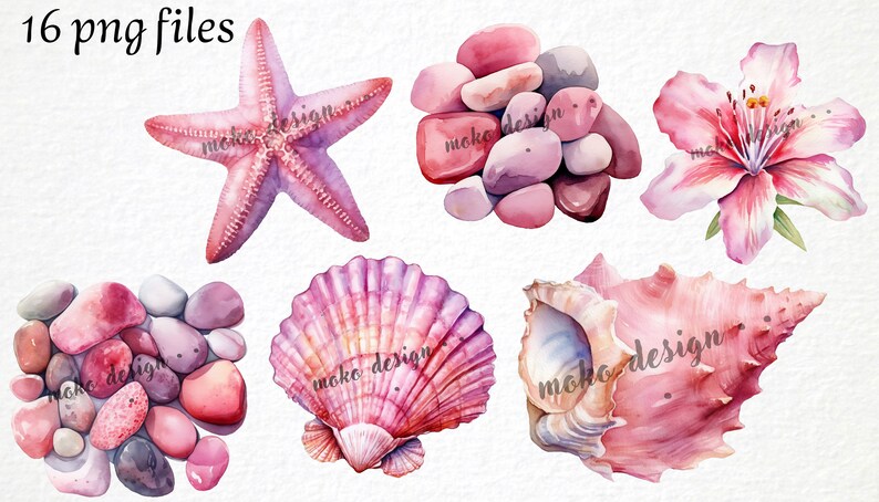 Watercolor Pink Seashells Clip Art Ocean Life Starfish Beach - Etsy