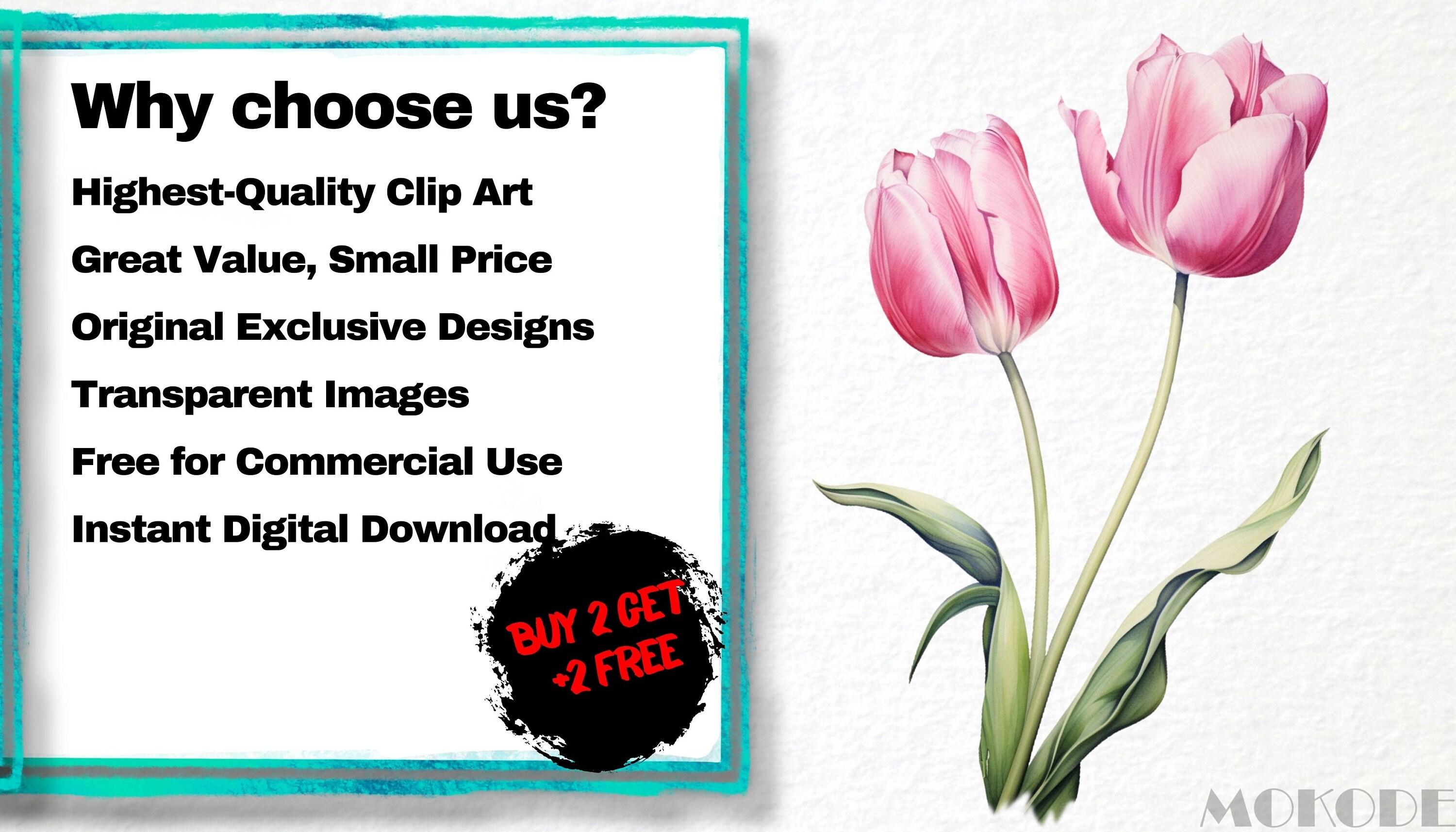 Pink Tulip Clipart Set of 20 Watercolor Tulip Png Botanical - Etsy