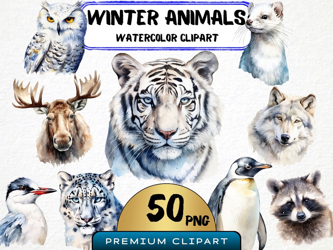 Winter Animals Watercolor Clipart 50 Png, White Tiger, Winter Squirrel ...