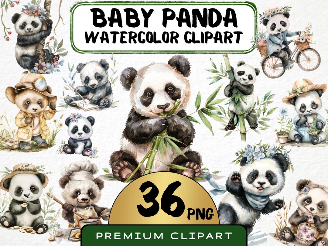 Watercolor Baby Panda Clipart, Cute Kids Illustration (36 PNG) - Etsy