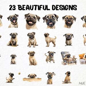 Funny Pug Dog Clipart 23 Png, Cute Caricature Pets, Puppies Watercolor ...