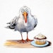 Funny Seagulls Clipart 20 Png, Goofy Seagull Birds, Silly Gulls ...