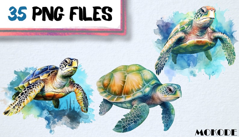 Watercolor Sea Turtle Clipart Set of 35 Watercolor Nautical - Etsy