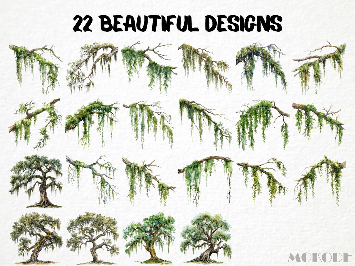 Watercolor Hanging Moss Clipart, Spanish Moss Graphics (22 PNG, Digital ...