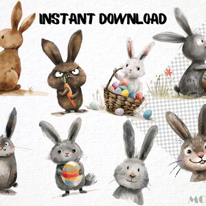 Funny Bunny Vol.2 Clipart 40 Png, Cute Caricature Pets, Quirky Rabbit ...