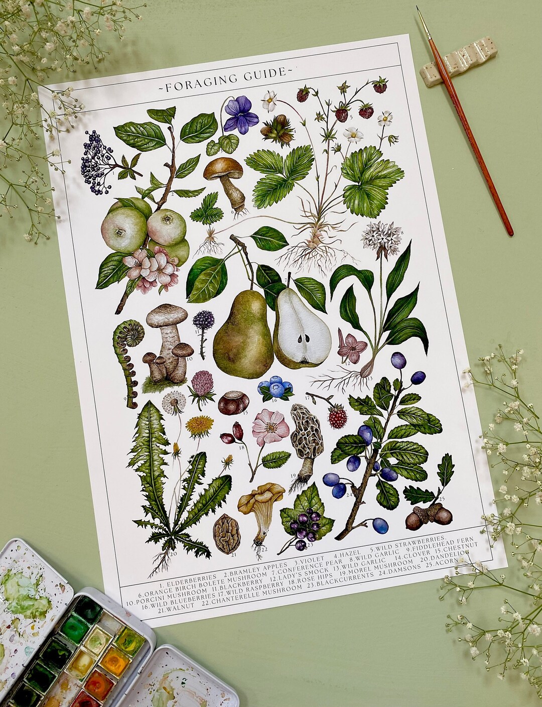 Foraging Mushrooms Watercolour Print, Foraged Fungi Guide Poster ...