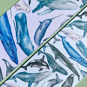 Whales Watercolour Bookmark, Handmade Whales of the World Bookmark ...