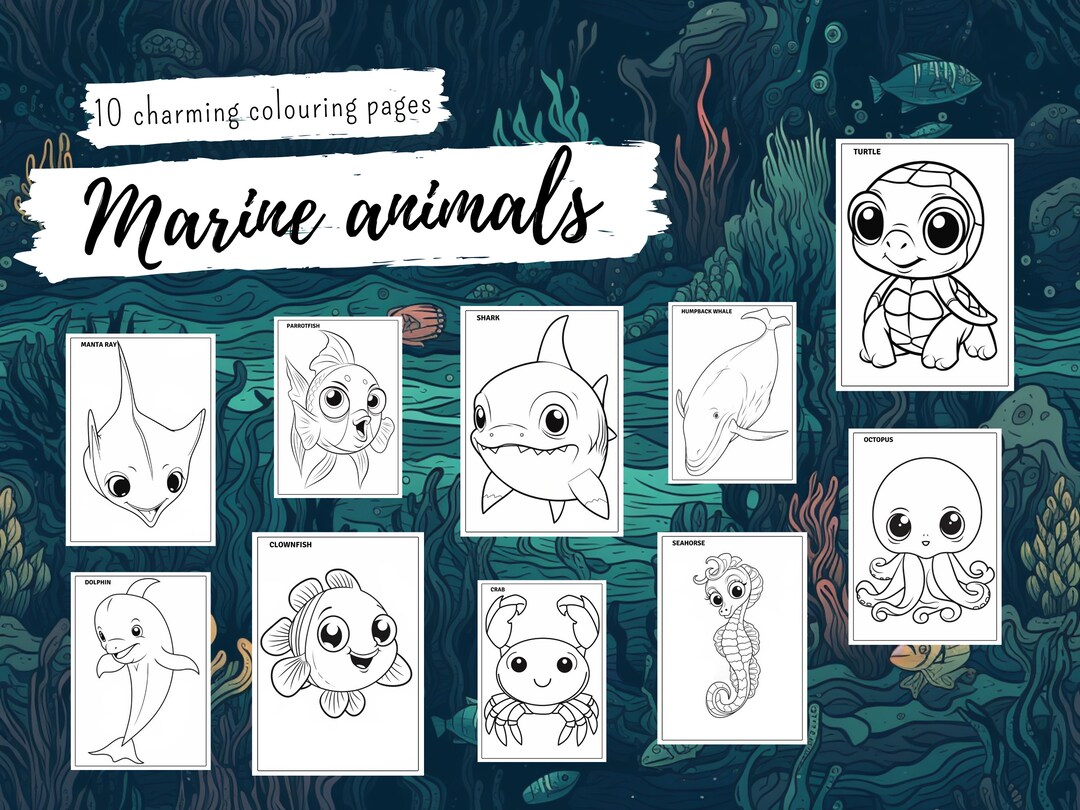 10 Adorable Sea Animal Colouring Pages to Print for Kids - Etsy