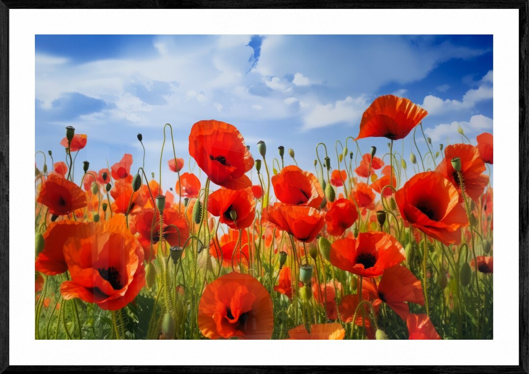 Poppy Wall Art, Digital Poppy Print, PRINTABLE Poppy Landscape, Summer ...