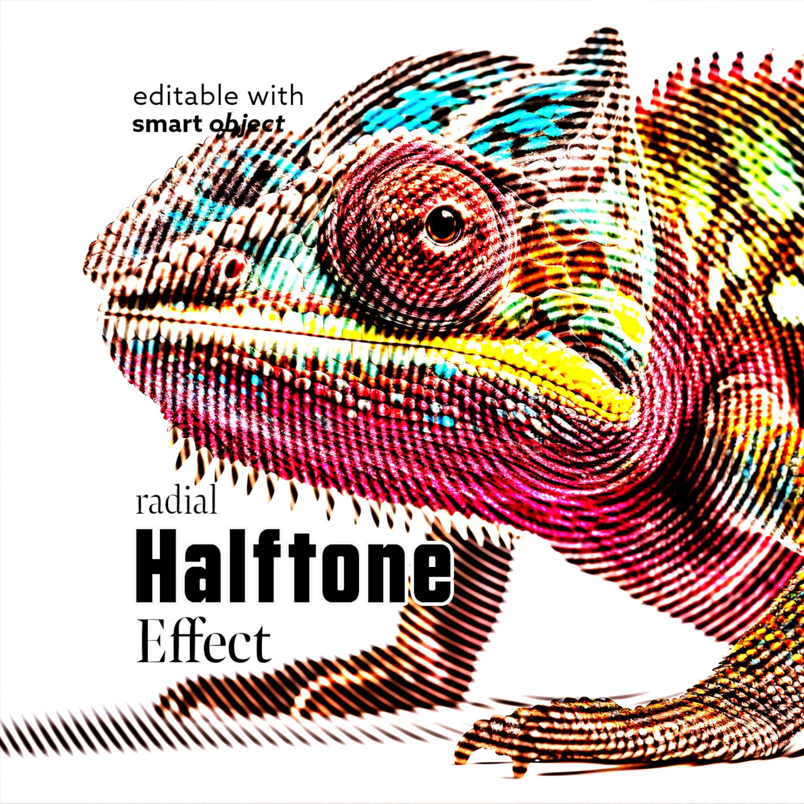 Halftone Photo Effect / Radial Halftone Photoshop Effect - Etsy