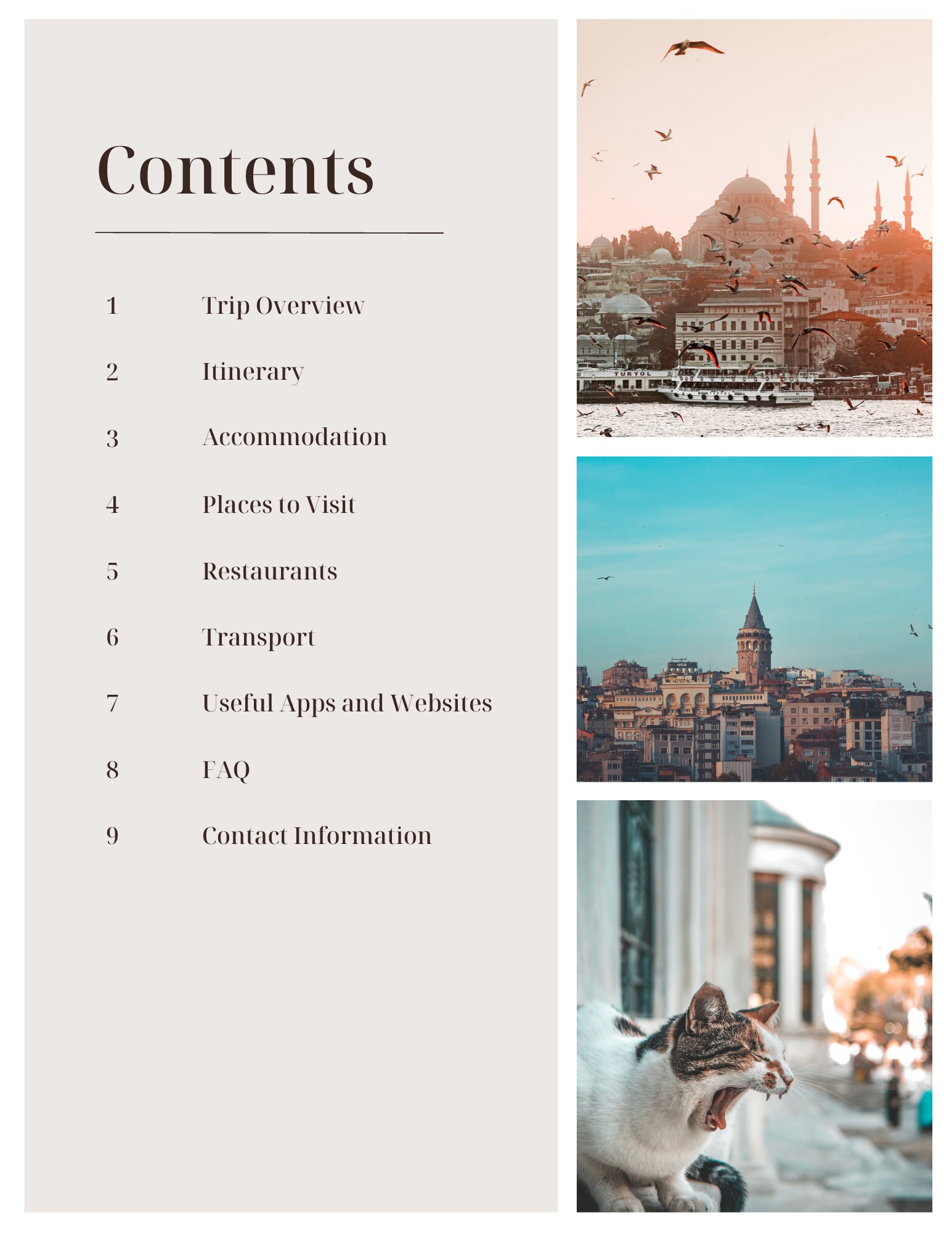 The Ultimate Istanbul Travel Guide - Etsy