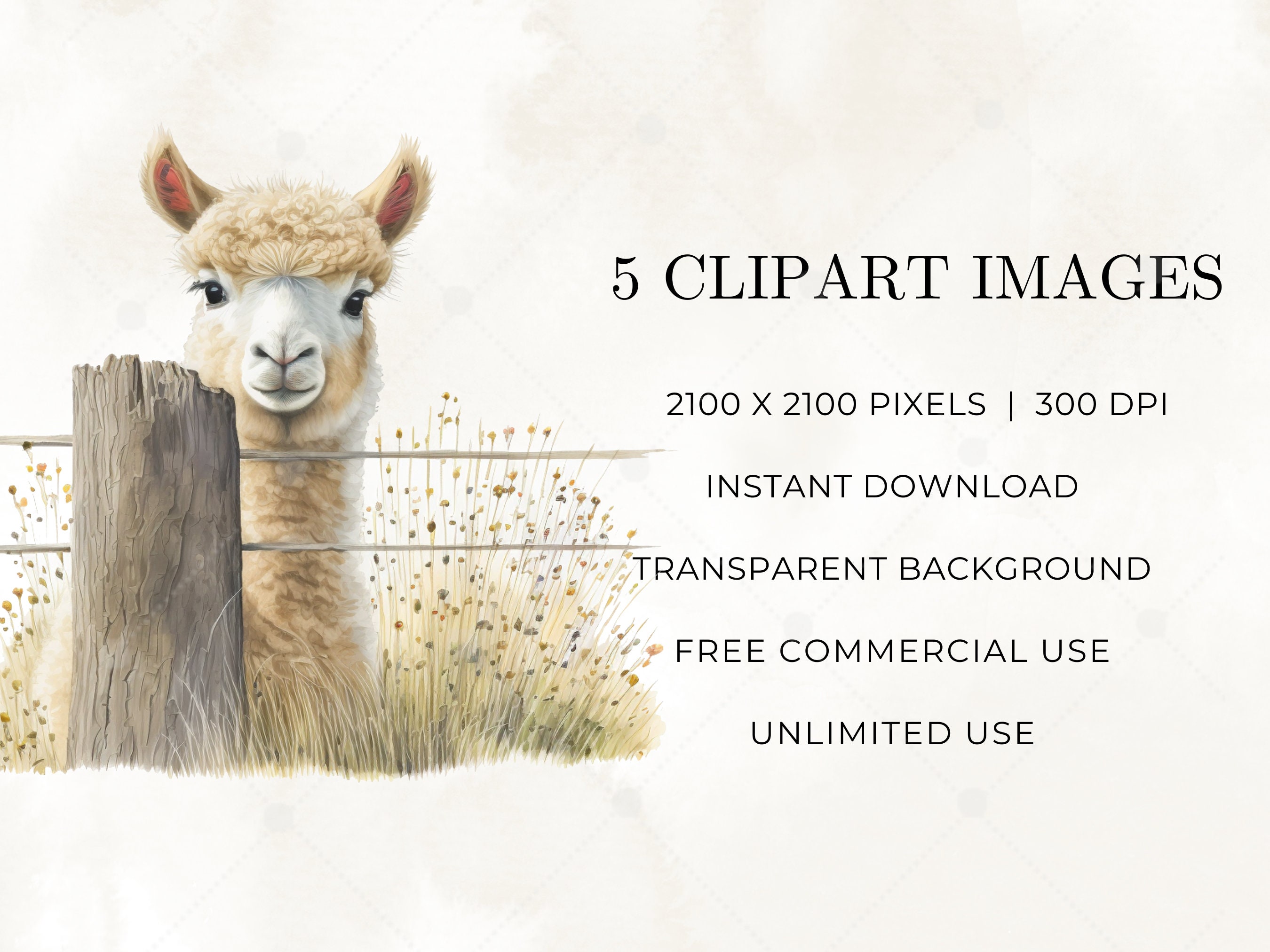 Llama Clipart, Watercolor Llama, Boho Llama, Digital Art, Clip Art ...