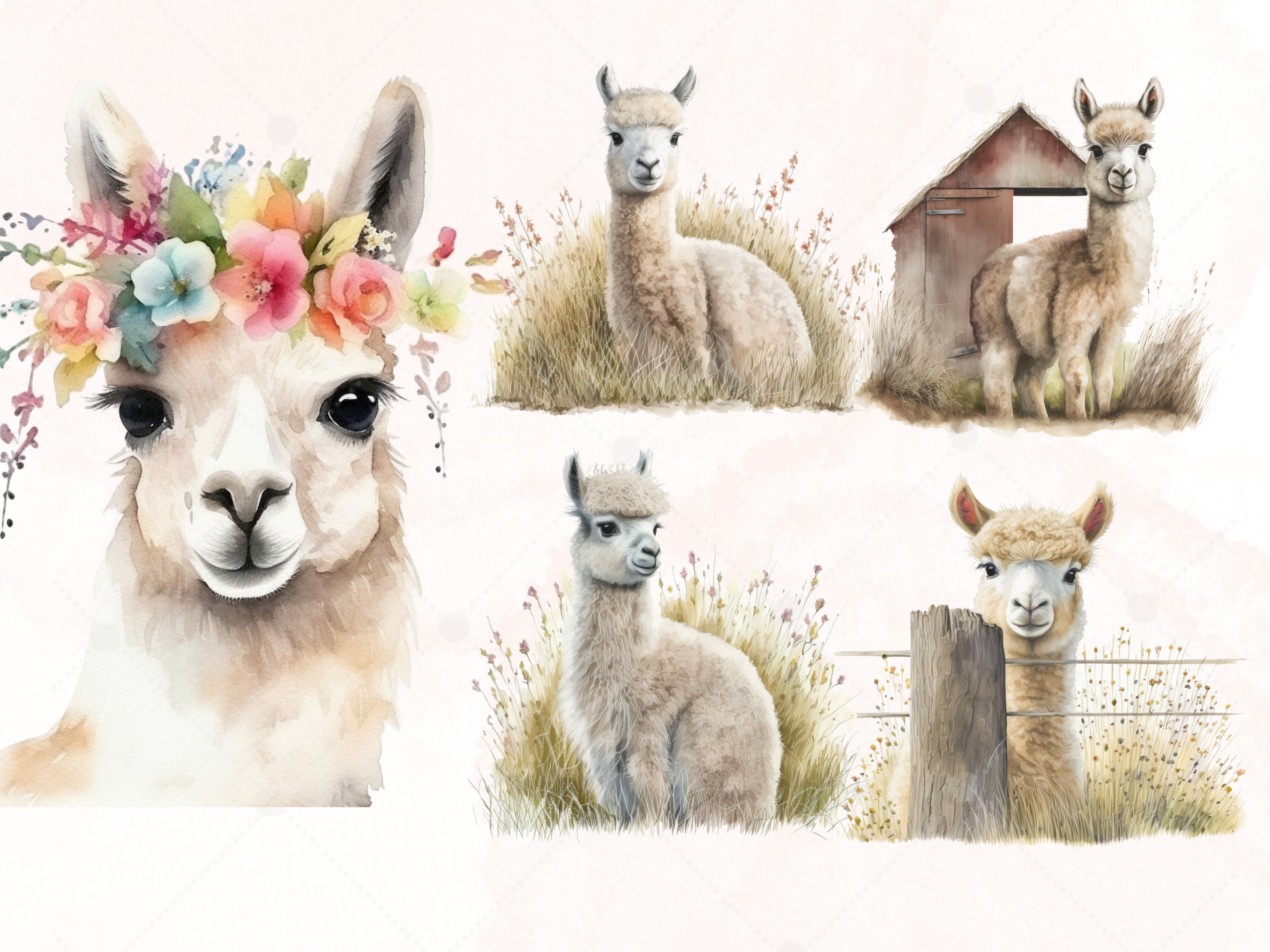 Llama Clipart, Watercolor Llama, Boho Llama, Digital Art, Clip Art ...