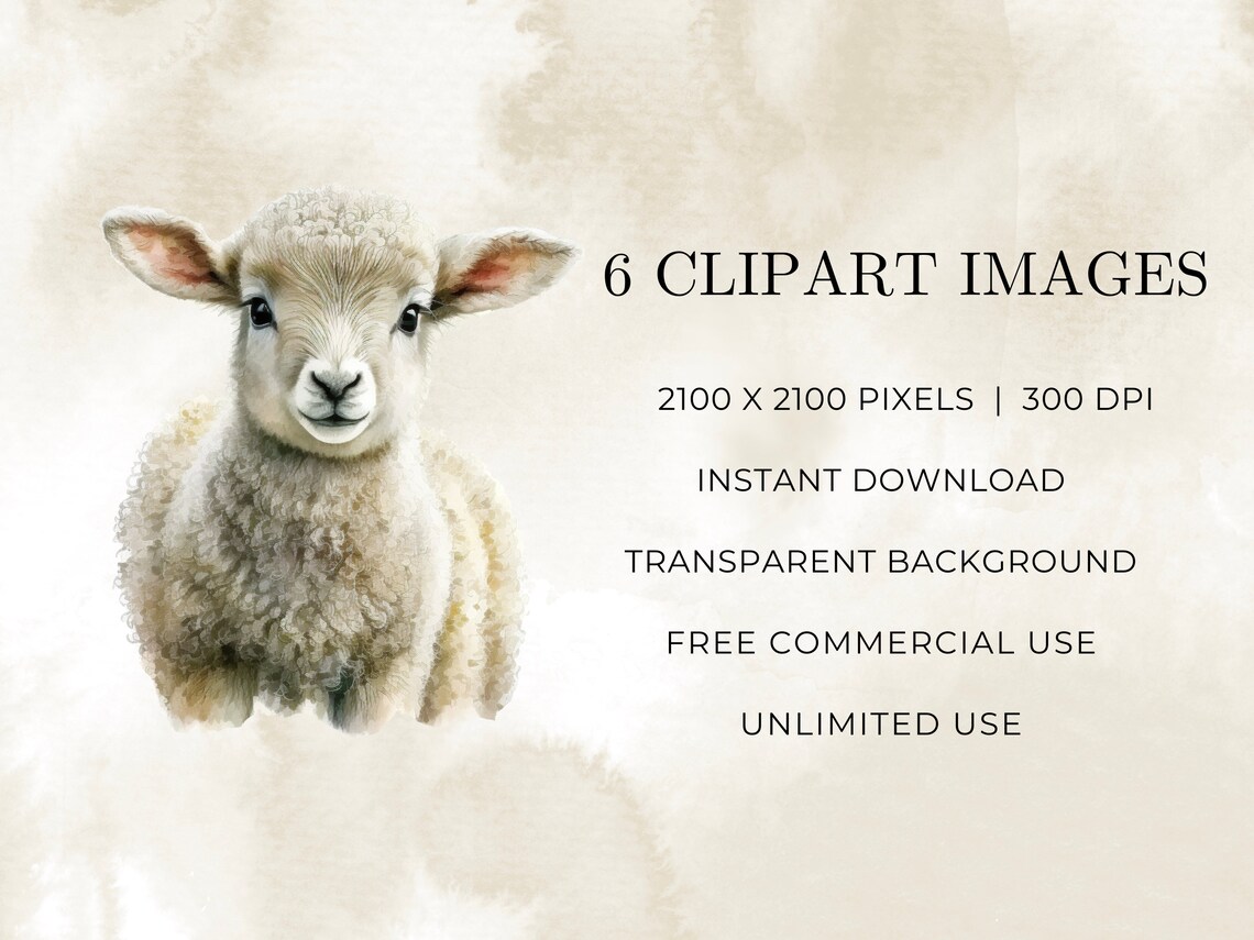 Baby Sheep Clipart, Lamb Clipart, Watercolor Digital Art, Clip Art ...