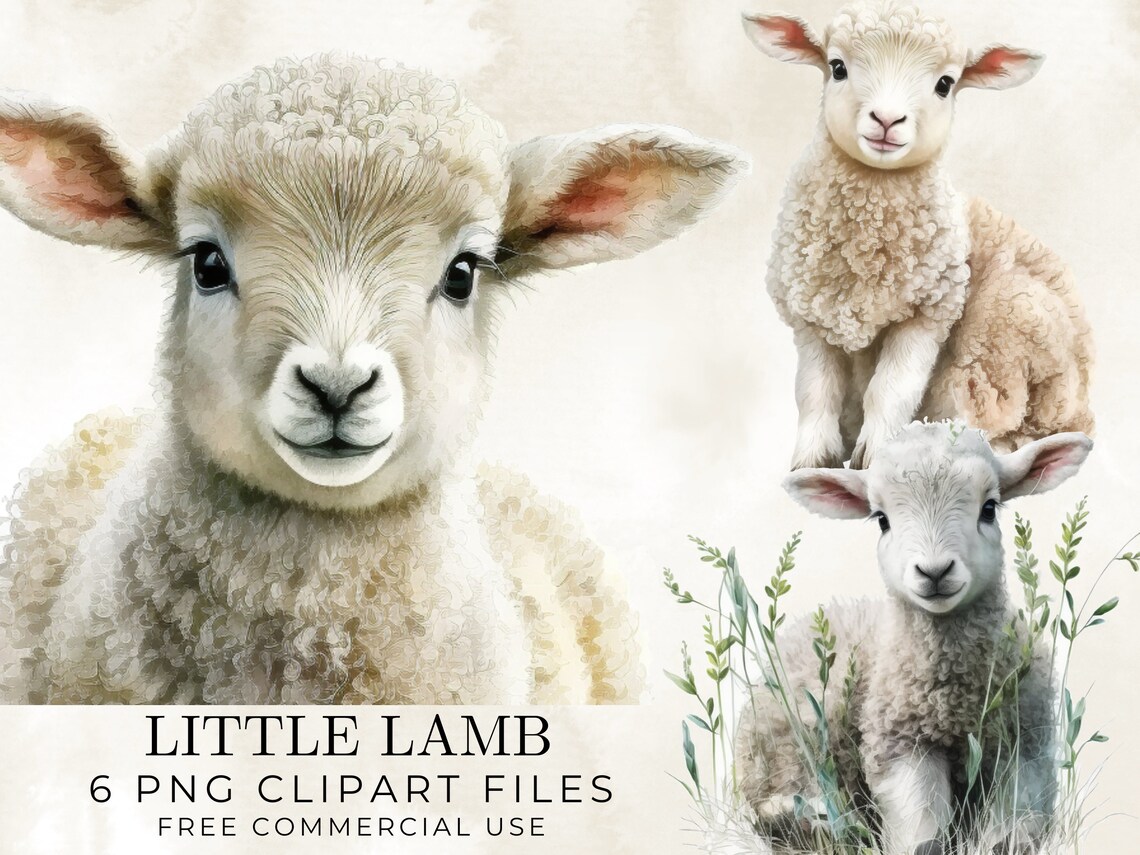 Baby Sheep Clipart, Lamb Clipart, Watercolor Digital Art, Clip Art ...
