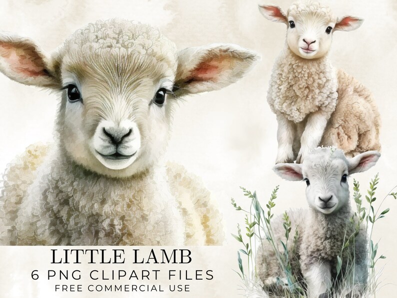 Baby Sheep Clipart Lamb Clipart Watercolor Digital Art Clip - Etsy
