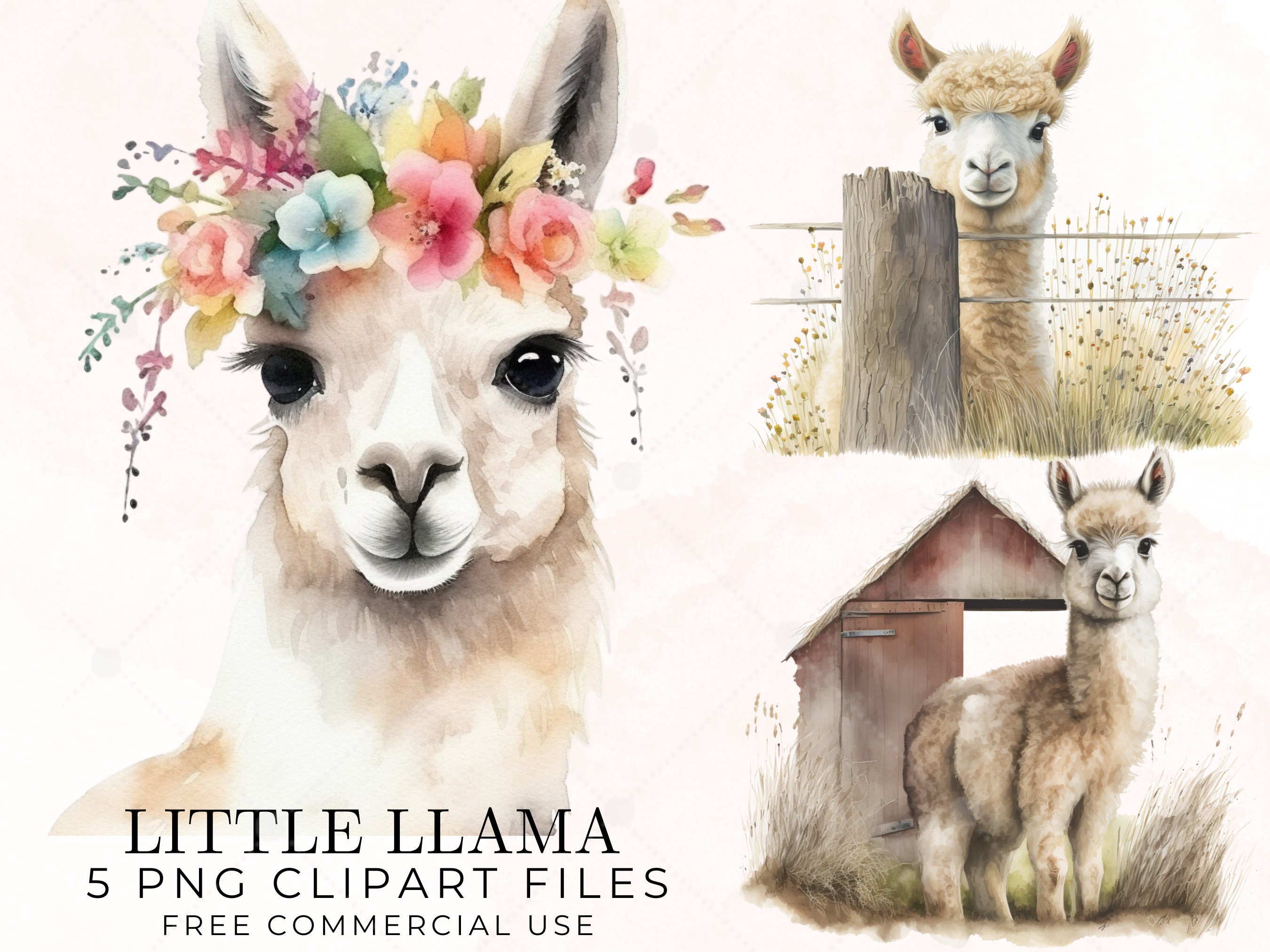 Llama Clipart, Watercolor Llama, Boho Llama, Digital Art, Clip Art ...