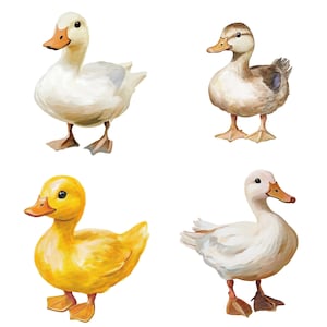 Duck PNG Clipart, 12x Oil Painted Farm Duck Clip Art Set, Printable ...