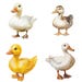 Duck PNG Clipart, 12x Oil Painted Farm Duck Clip Art Set, Printable ...