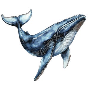 Whale PNG Clipart, 12x Watercolor Ocean Animals Clip Art Set, Printable ...