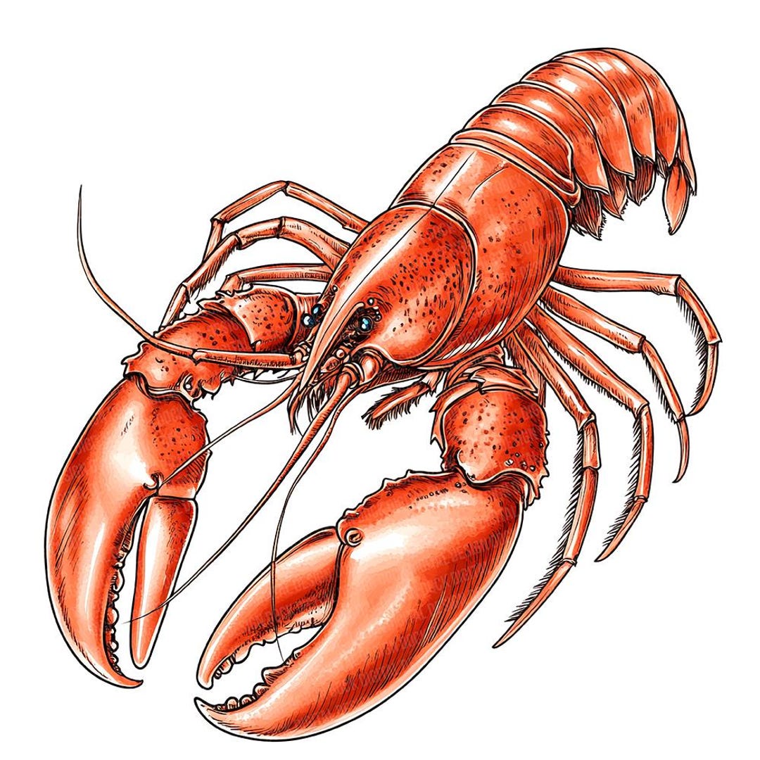 Red Lobster PNG Clipart, 12x Watercolor Marine Life Clip Art Set ...