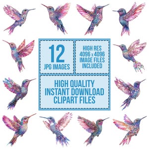 Jeweled Hummingbird Clip Art, 12x Watercolor Hummingbird With Gems ...
