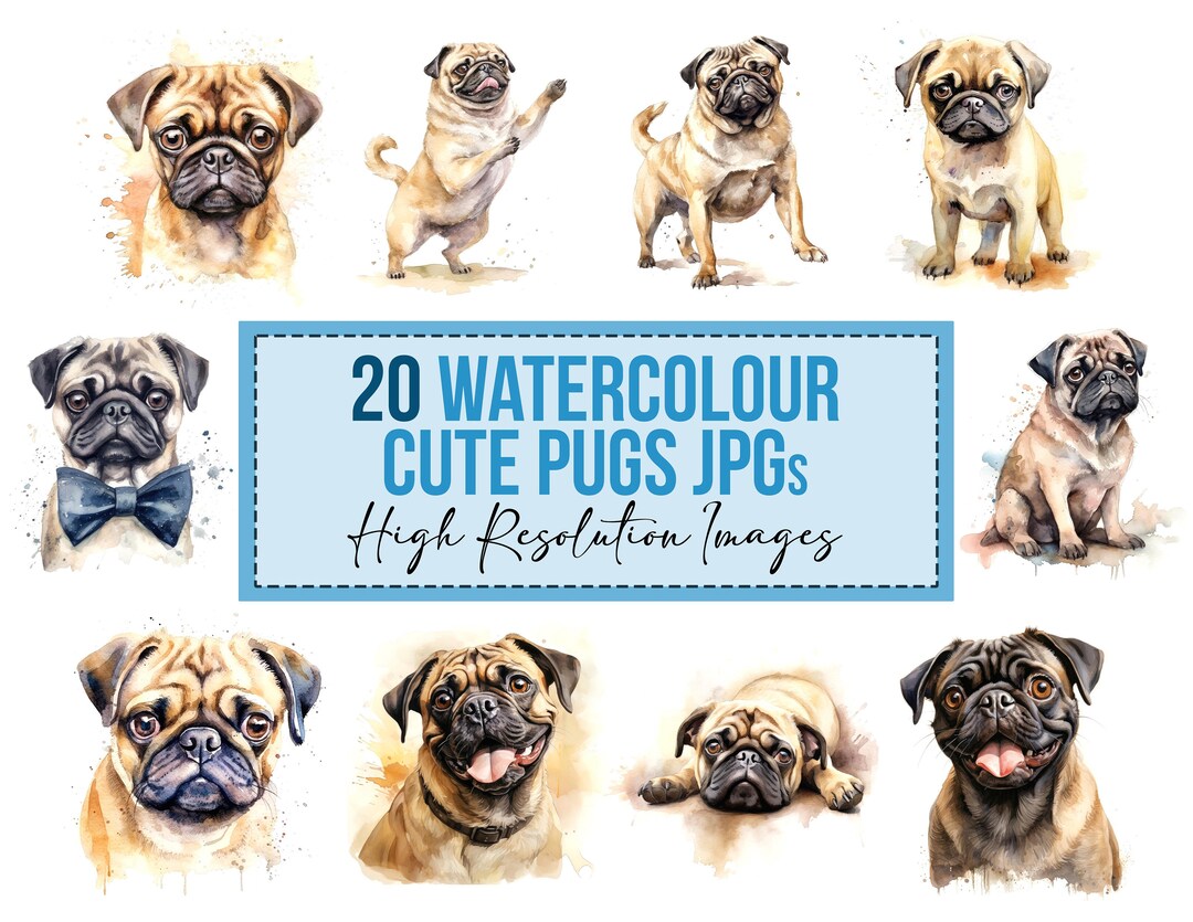 Cute Pug Clipart, 20 Jpgs, Dog High Quality Images, Pug Illustration ...