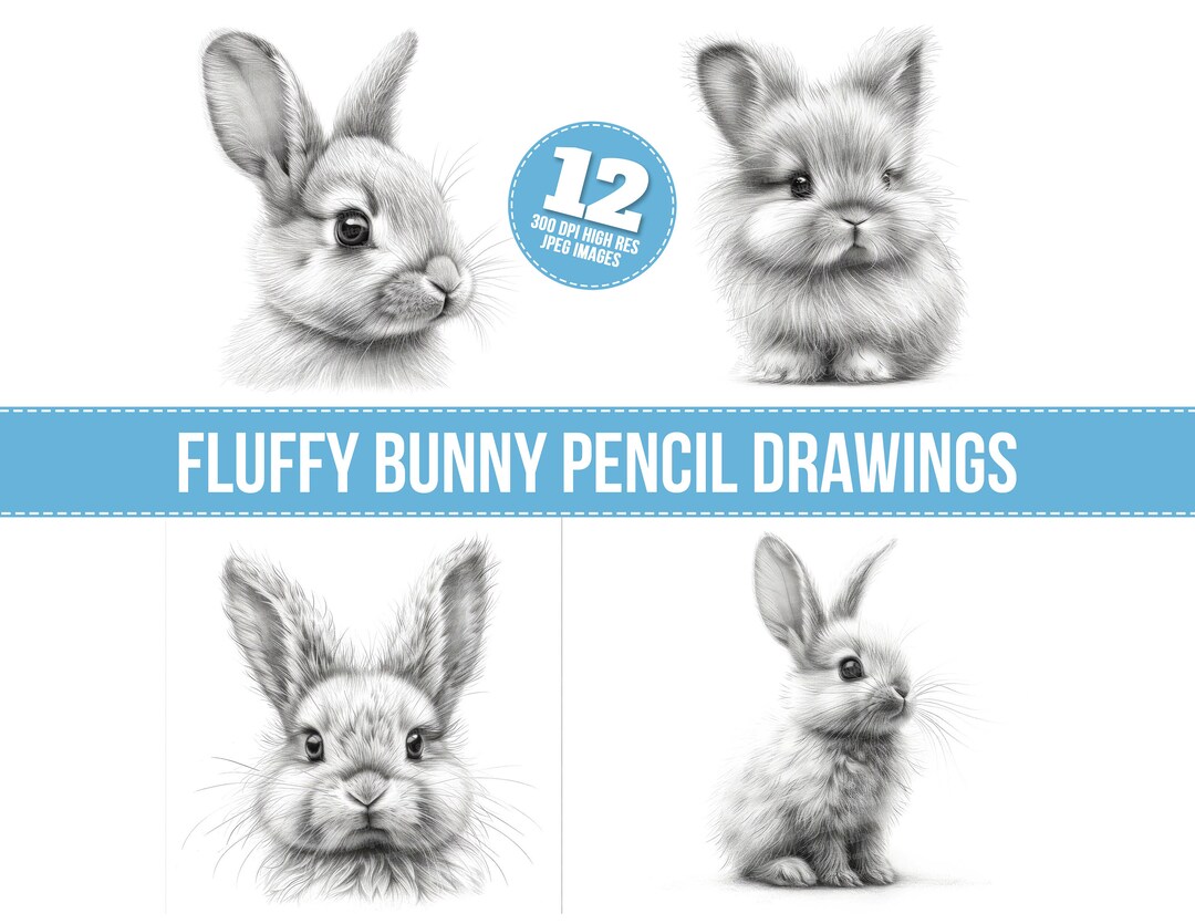 Fluffy Bunnies Clipart, 12 Jpgs, Pencil Drawing Clip Art, Printable ...