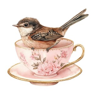 Wren in Pink Teacup PNG Clip Art, 12x Bird Clip Art Set, Printable ...