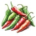 12 Red Chilli Pepper Clipart, Watercolor Green Chilis, Printable ...